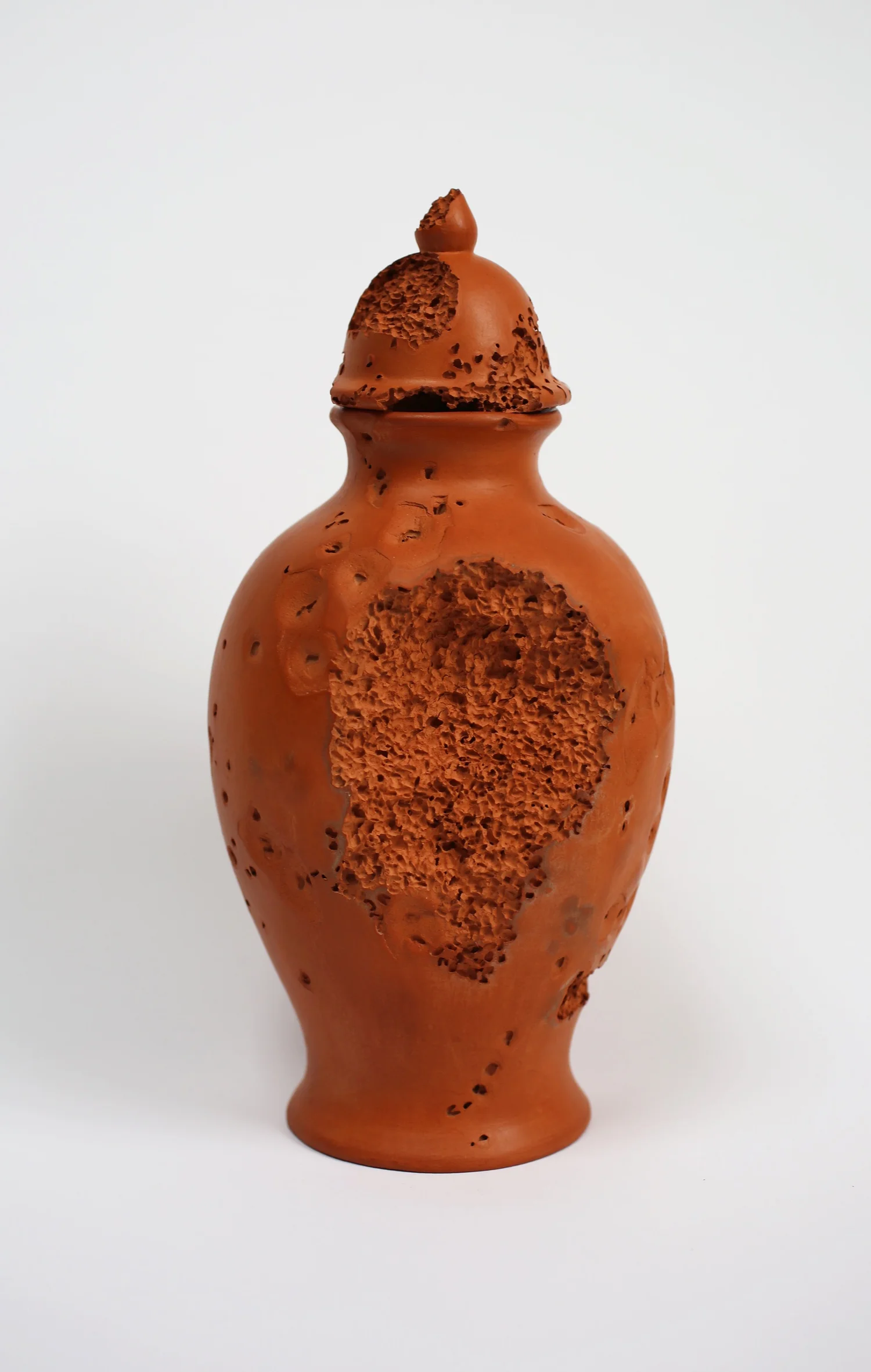 The Scholar's Vase — Tamsin van Essen