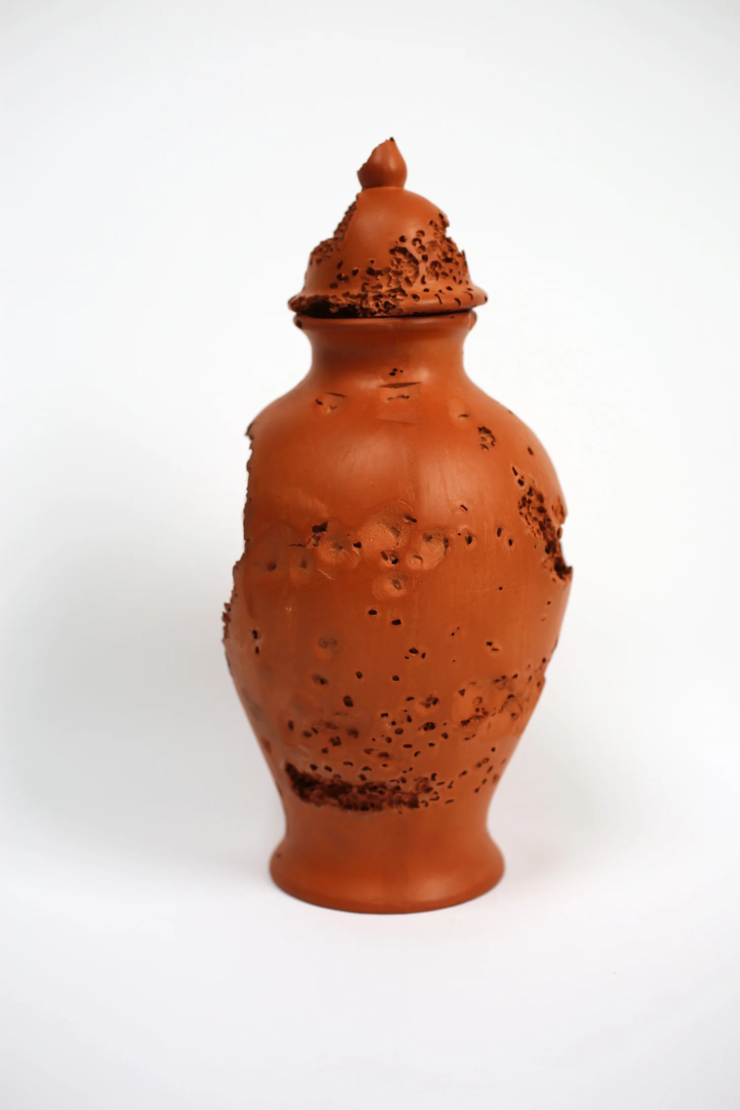 The Scholar's Vase — Tamsin van Essen