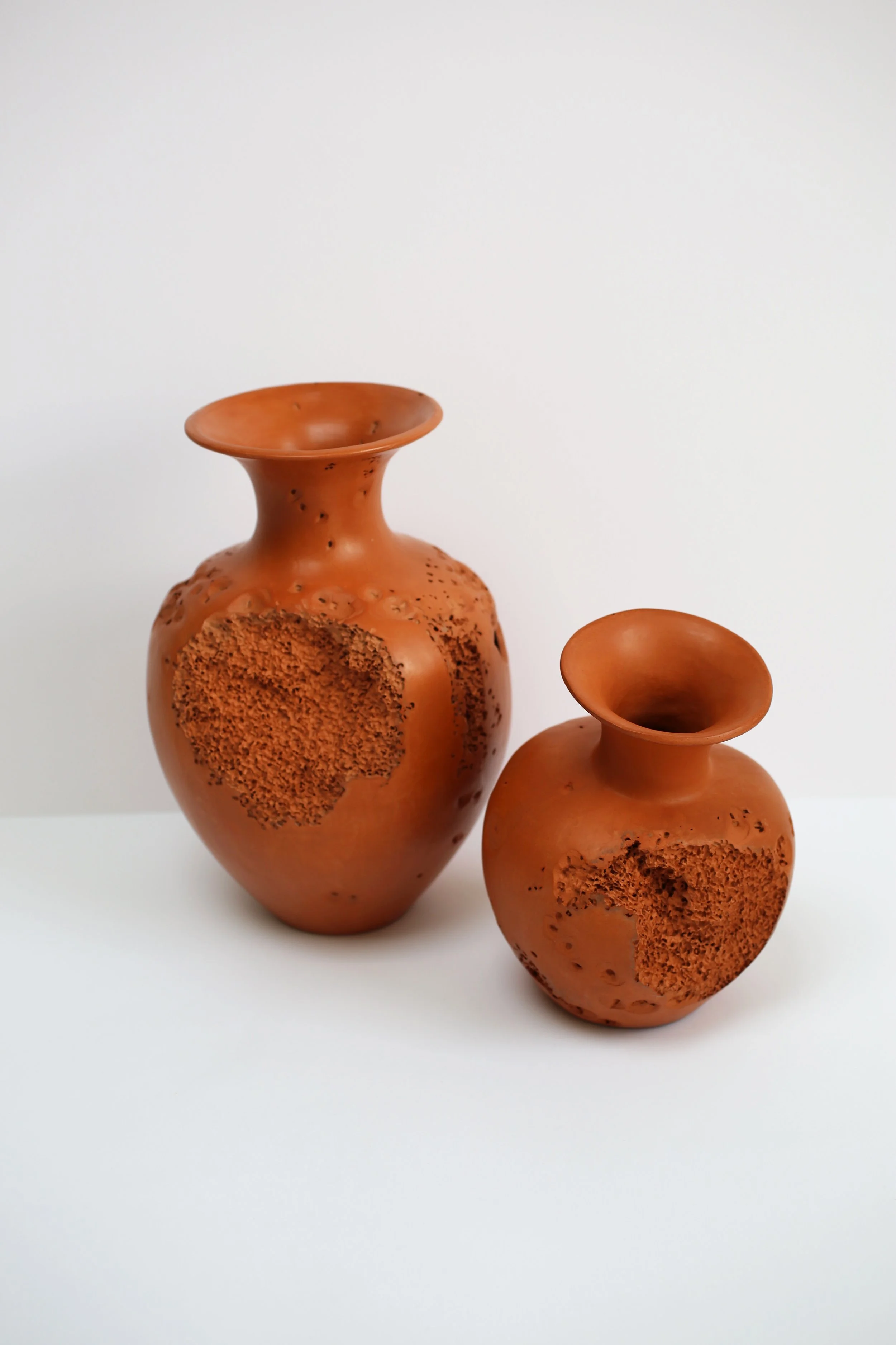 The Scholar's Vase — Tamsin van Essen