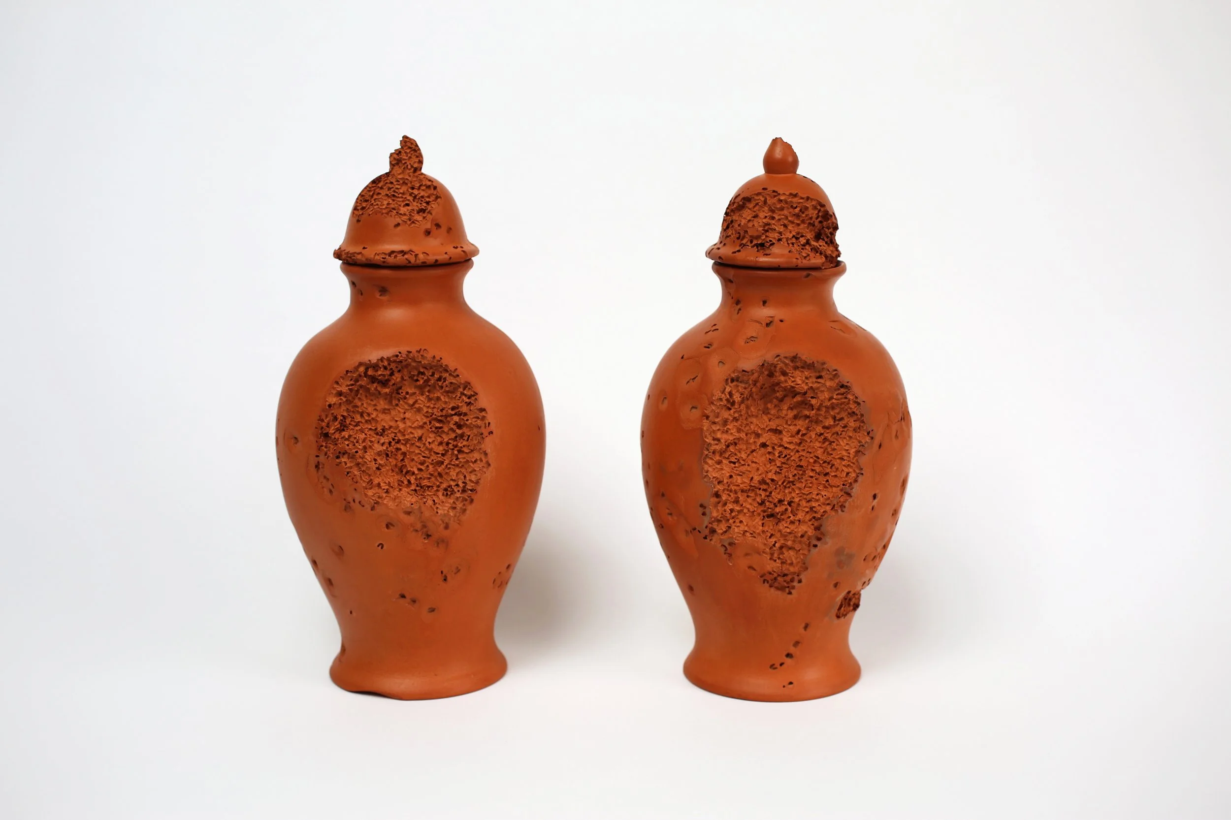 The Scholar's Vase — Tamsin van Essen