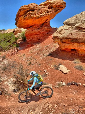 About Me — Jon Turk