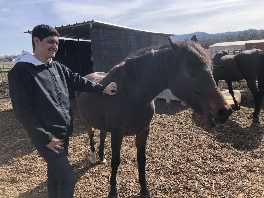 Our High School Intern is Learning About Animals from the Herd ...