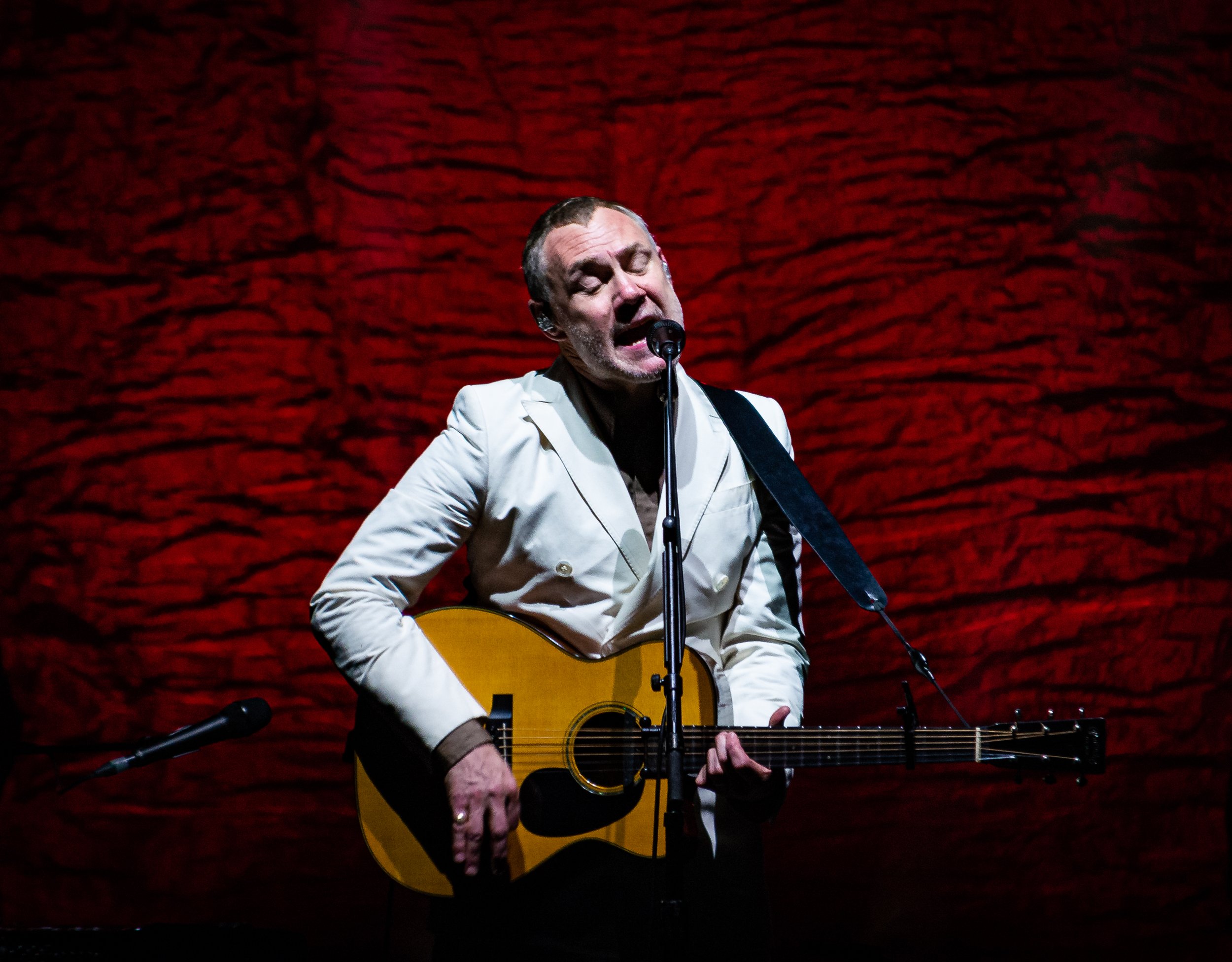 DAVID GRAY LIVE!! | REDHAT AMPHITHEATER — f28 MUSIC MEDIA LIVE