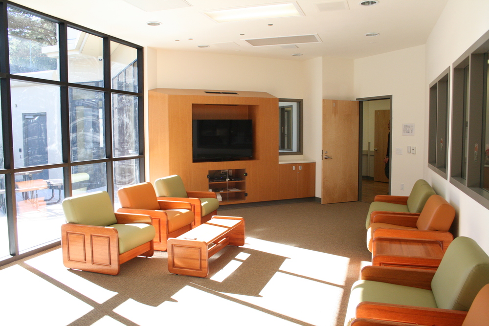 Santa Cruz County CSP — Telecare