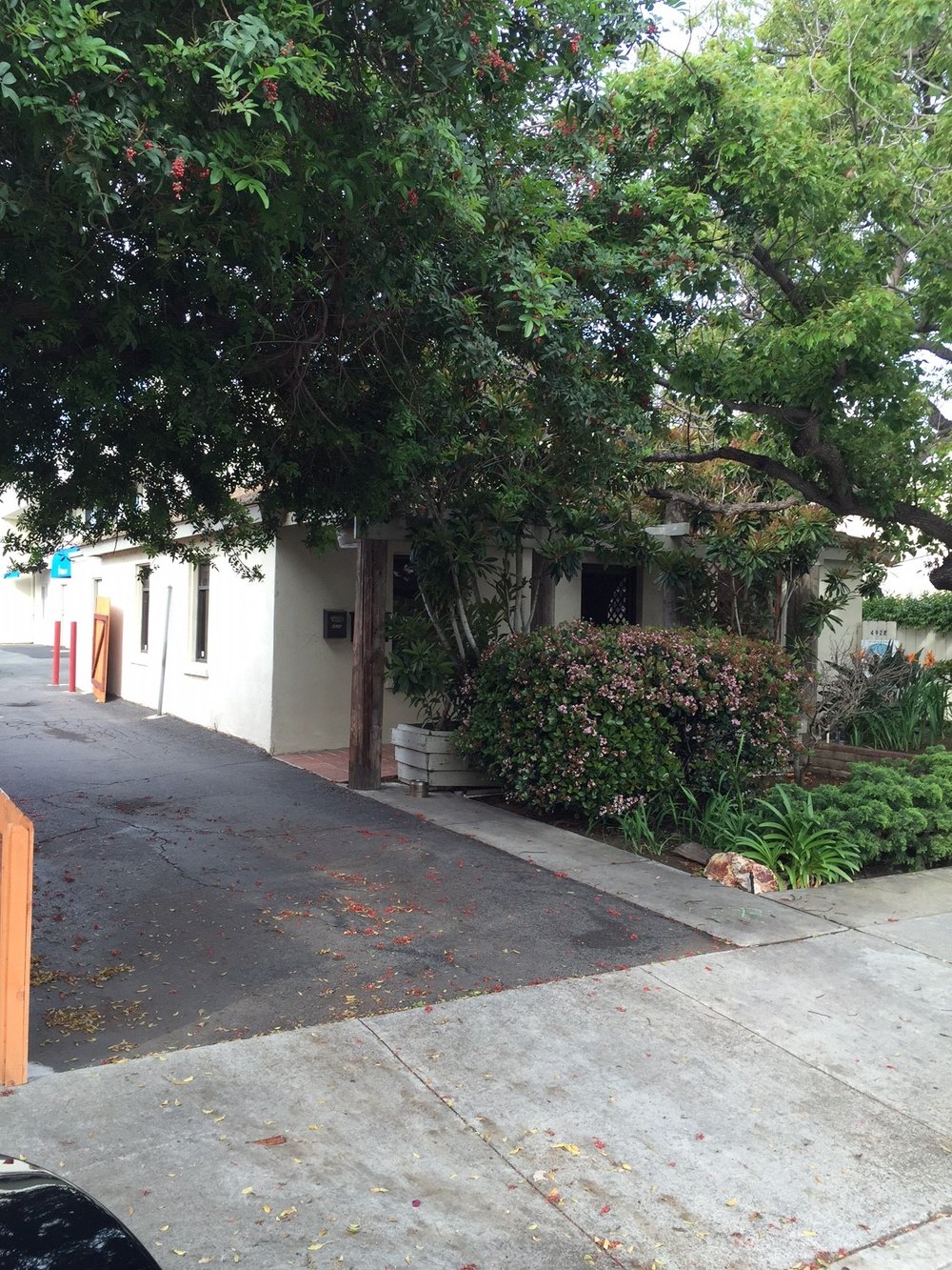 San Diego Collaborative Mental Health Court — Telecare