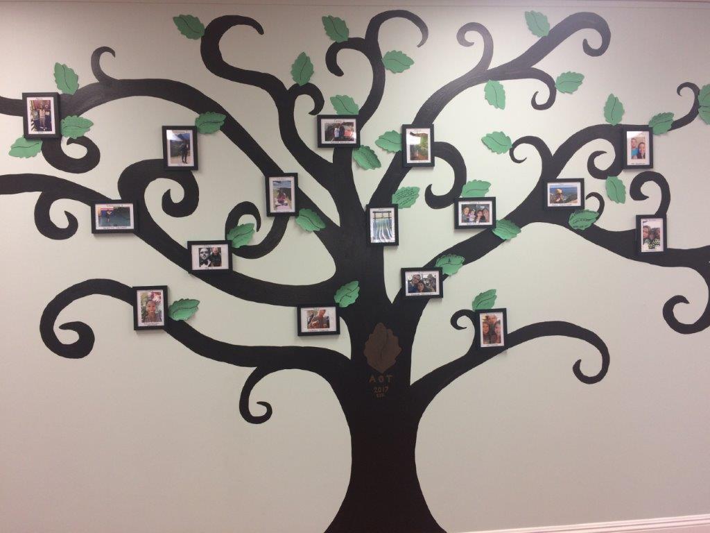 Orange County AOT — Telecare