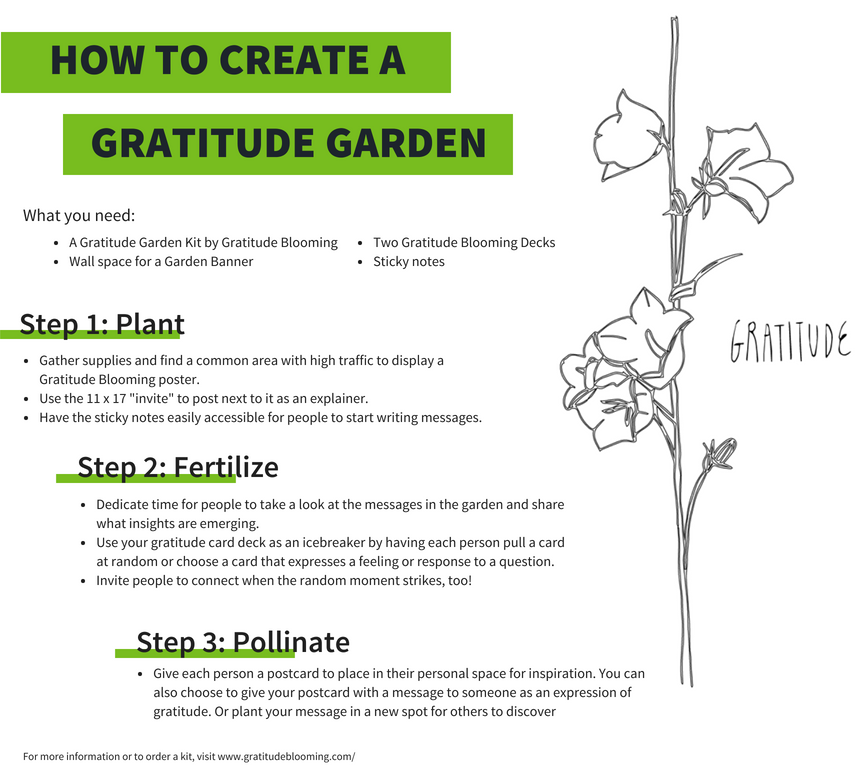 How to Fill in a Garden with Gratitude (and Ditch the Dirt) — 色中色