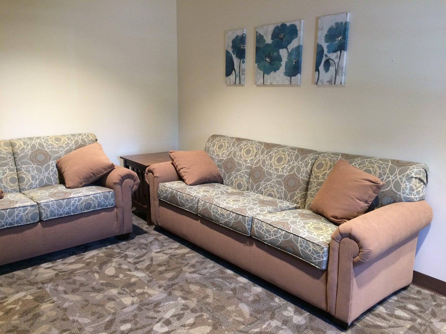 Windsor Center — Telecare