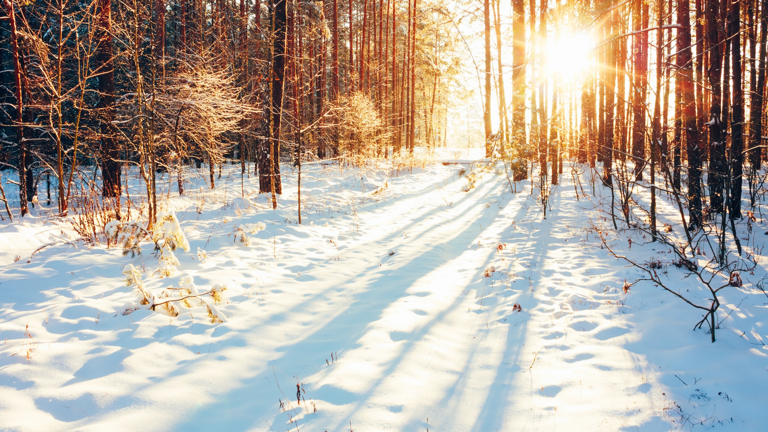 RCCS Tidbit of the Month: Change Happens — Telecare