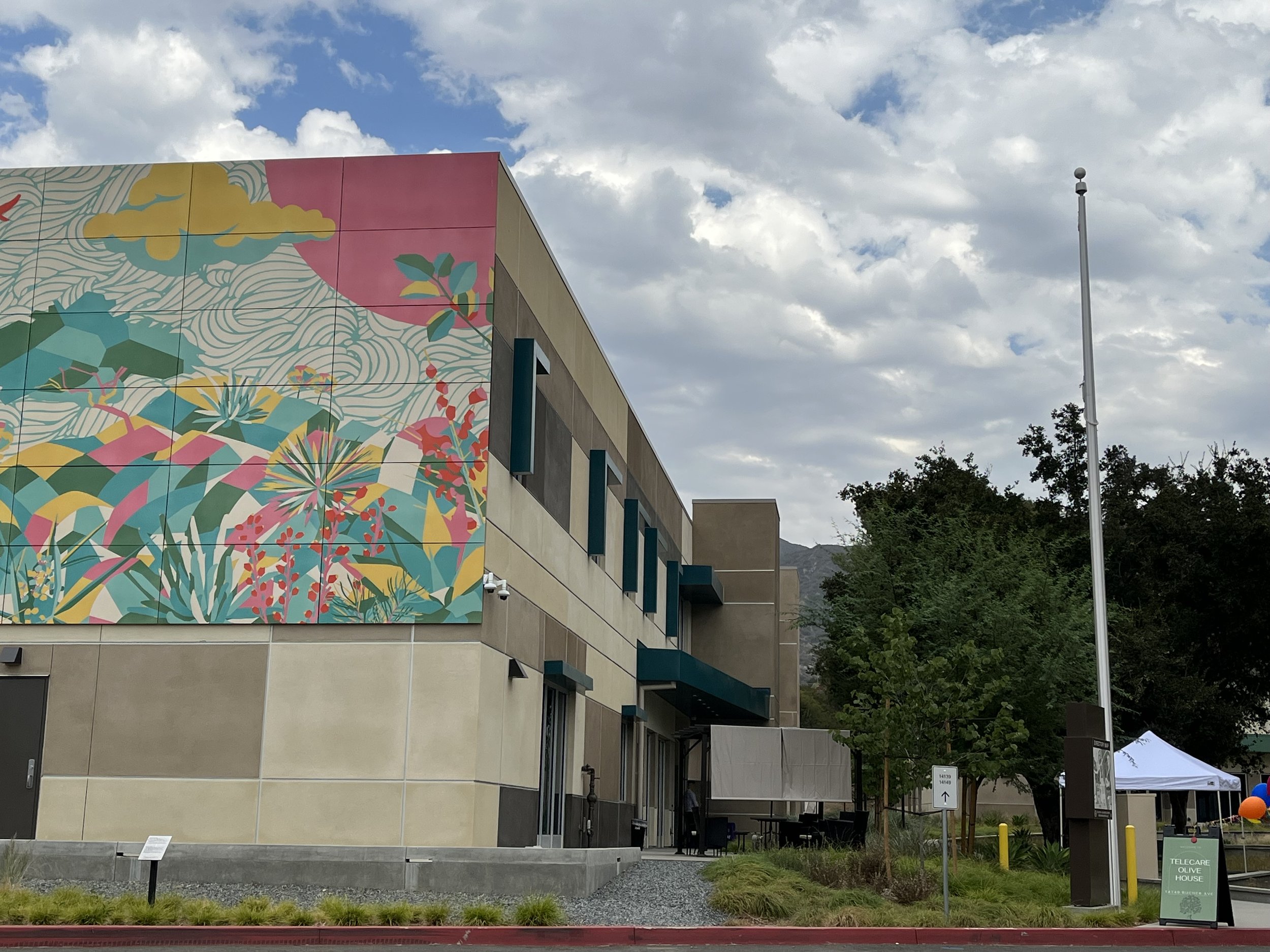 Olive House — Telecare