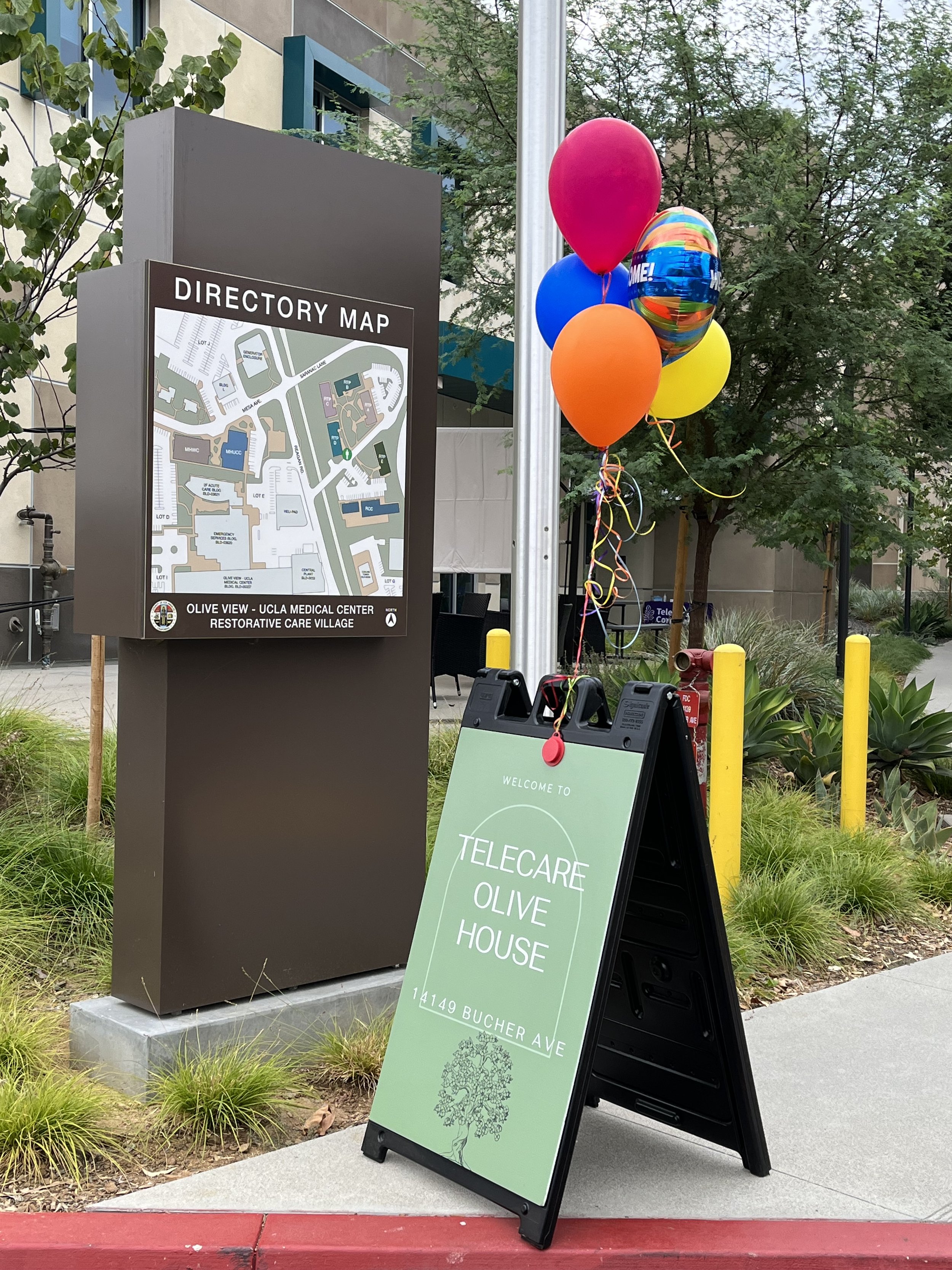 Olive House — Telecare