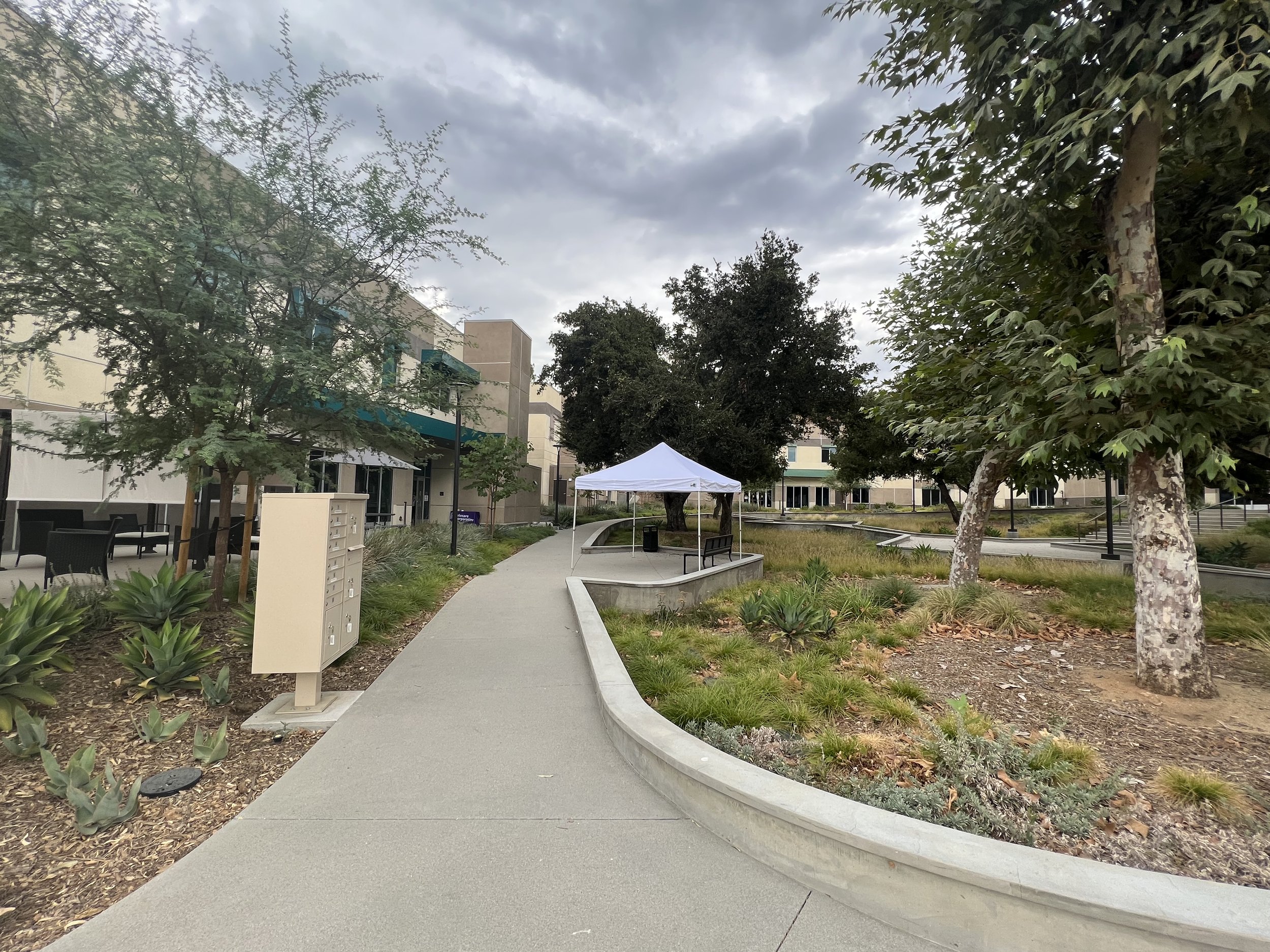 Olive House — Telecare