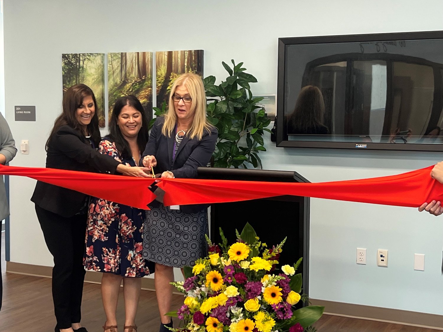 Olive House — Telecare