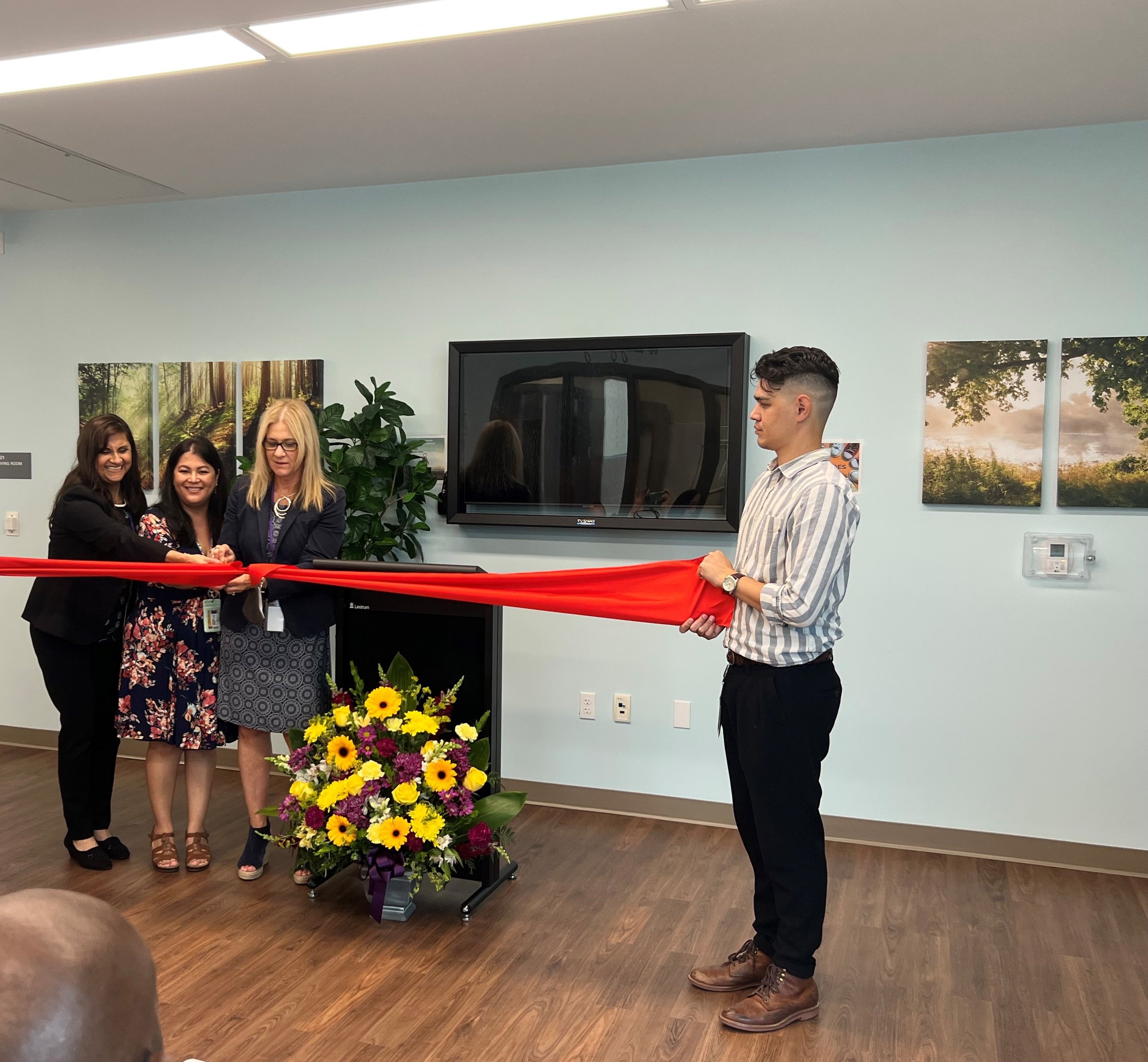 Olive House — Telecare