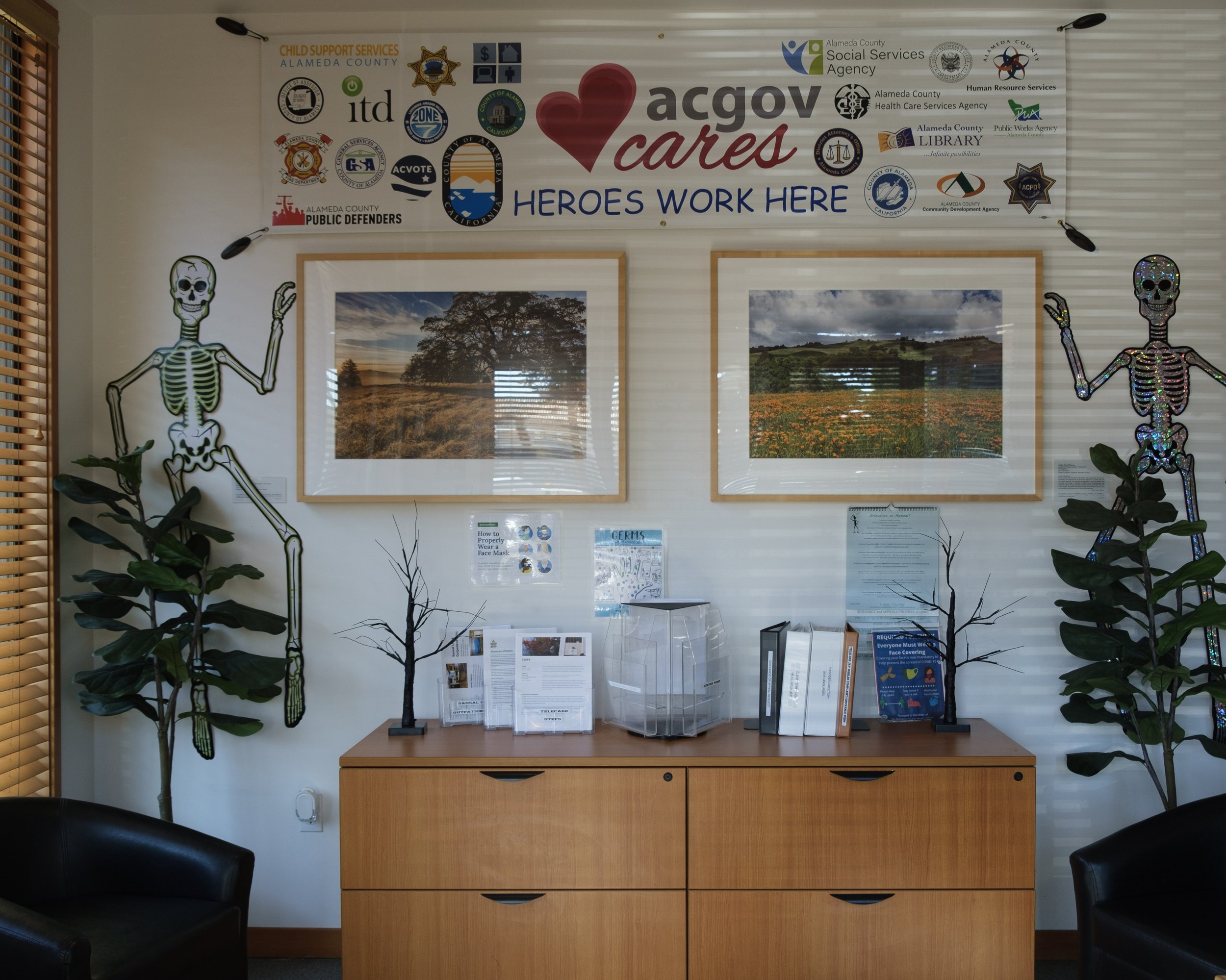 Jay Mahler — Telecare