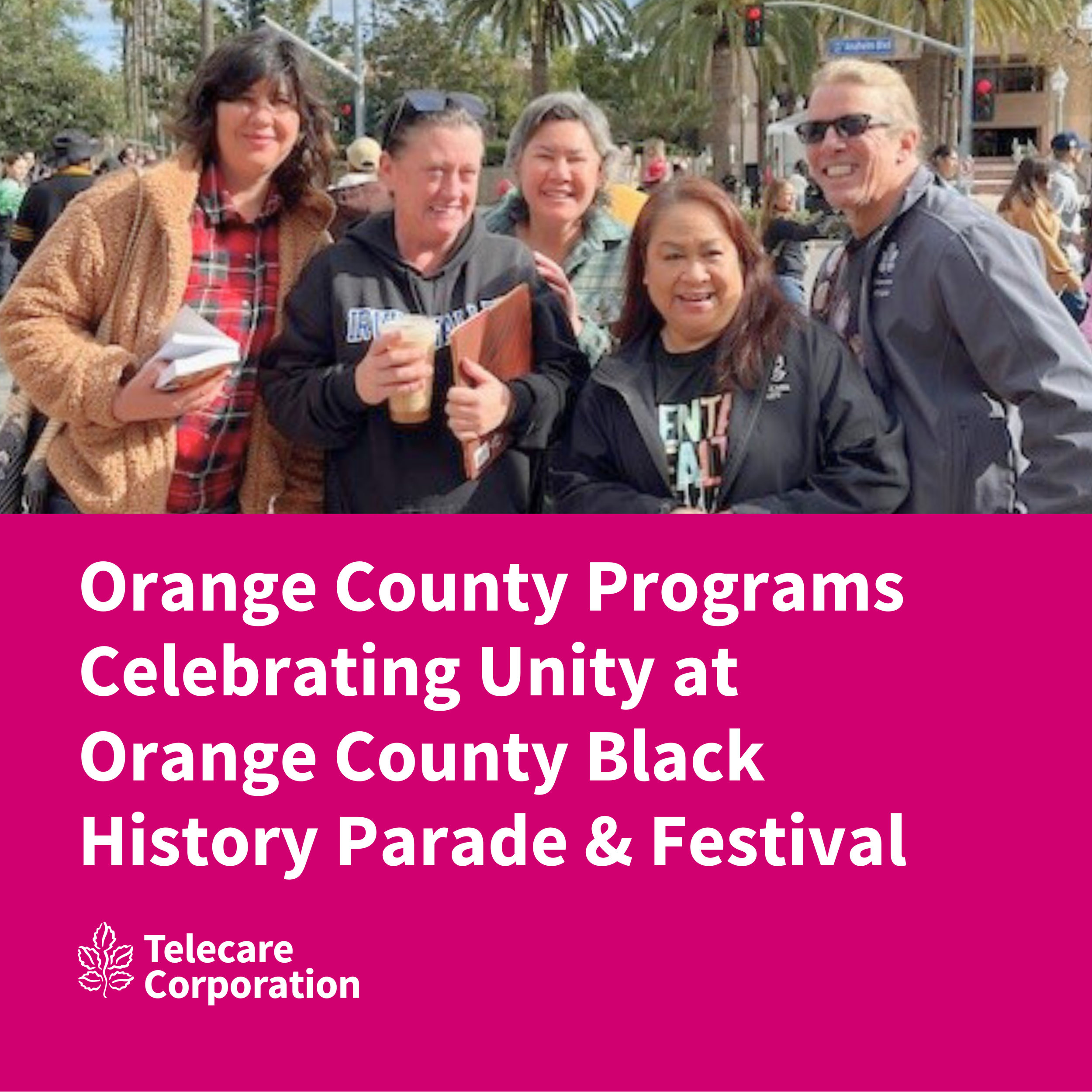 Orange County STEPS — Telecare
