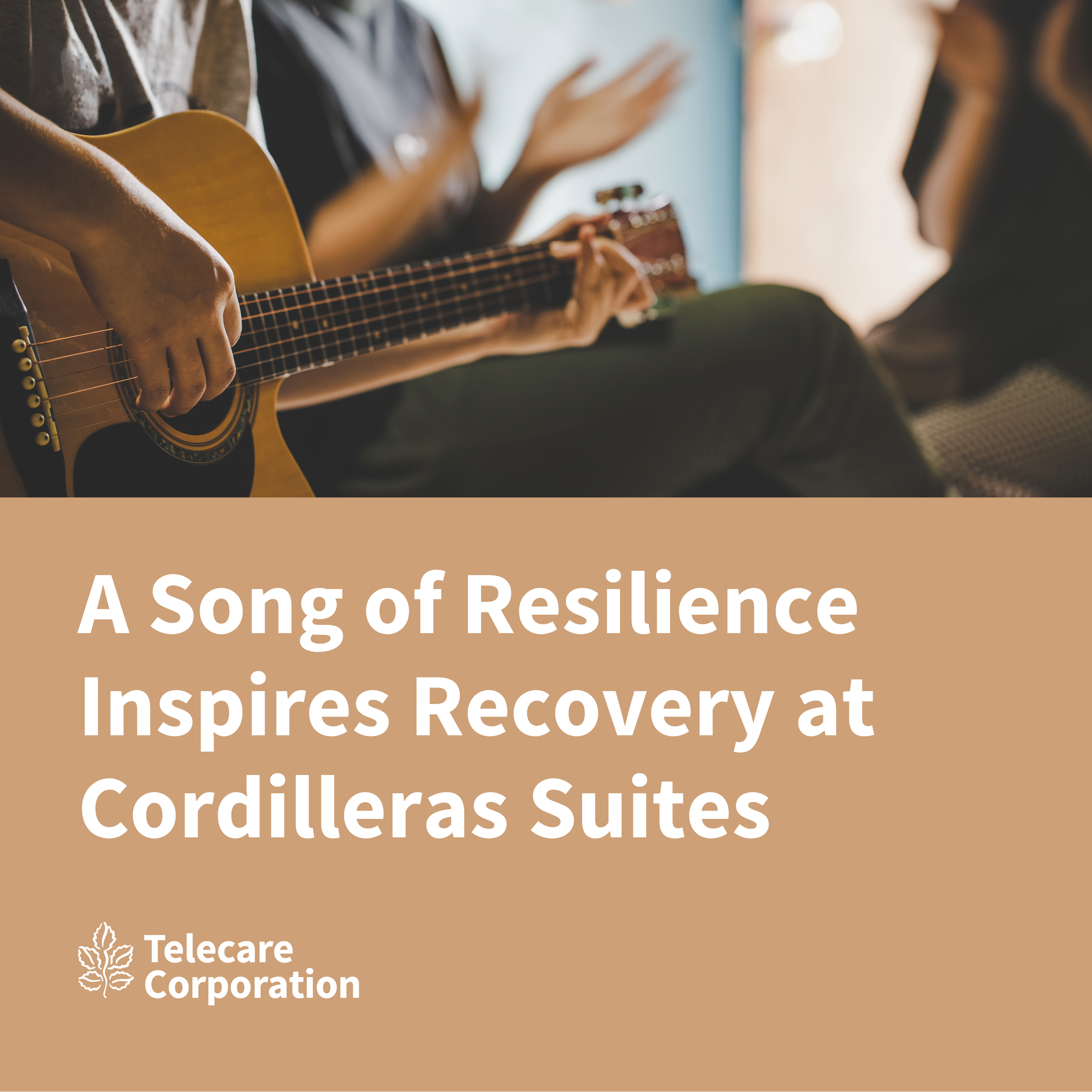 Cordilleras Suites — Telecare