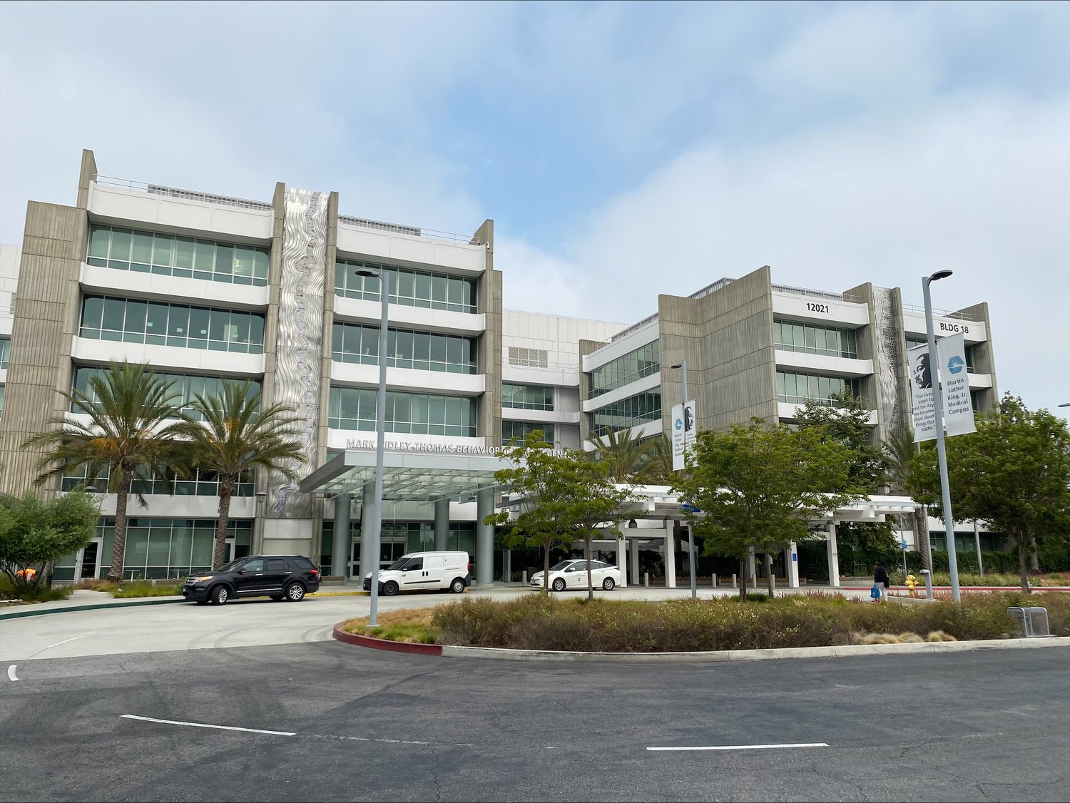 Telecare MLK Adult PHF — Telecare