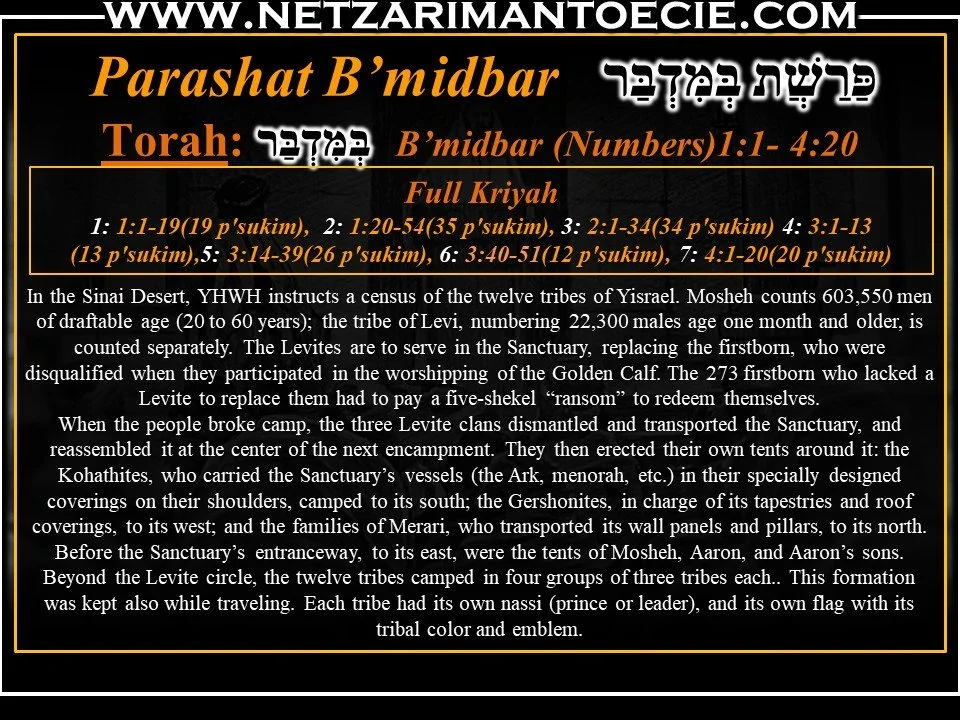 Weekly Parashat — Netzarim Antoecie