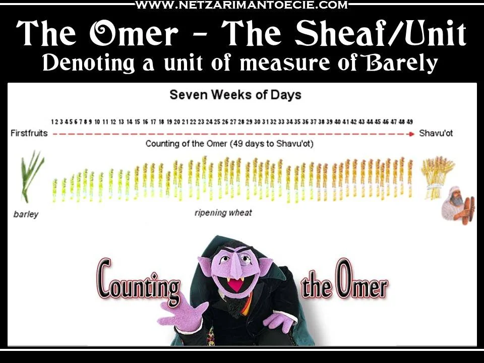 The Counting of the Omer (Sefirat HaOmer) — Netzarim Antoecie