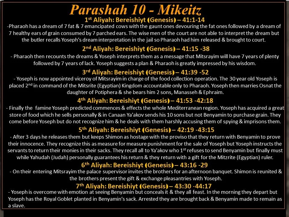 Weekly Parashat — Netzarim Antoecie
