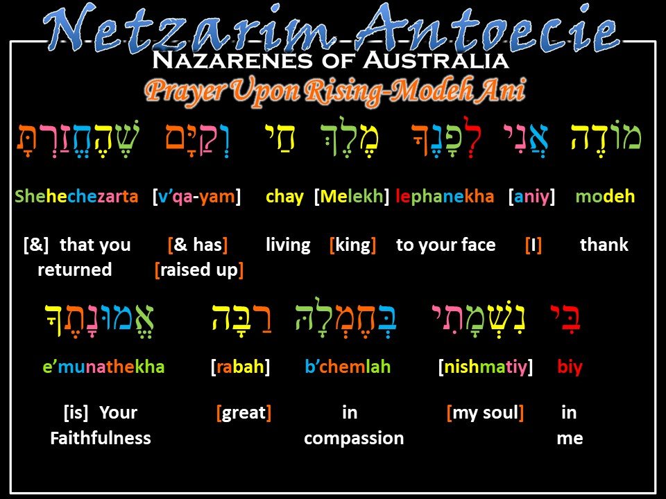 Lesson 6 Modeh Ani — Netzarim Antoecie