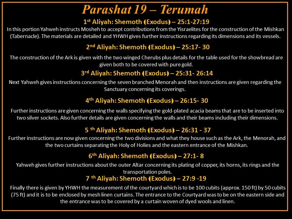 Weekly Parashat — Netzarim Antoecie