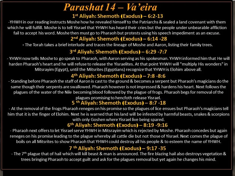 Weekly Parashat — Netzarim Antoecie