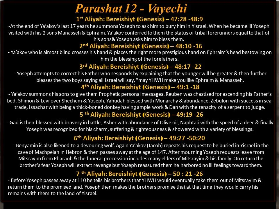 Weekly Parashat — Netzarim Antoecie