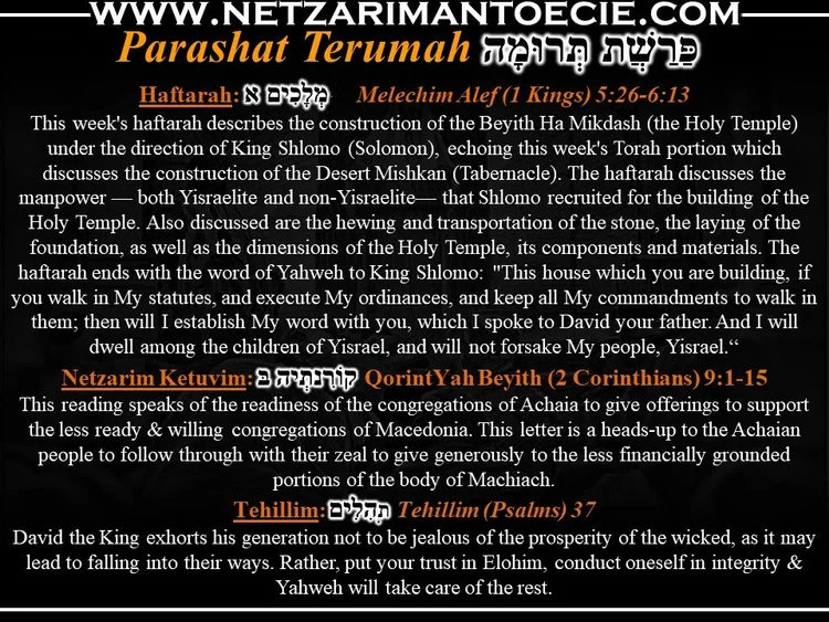 Weekly Parashat — Netzarim Antoecie