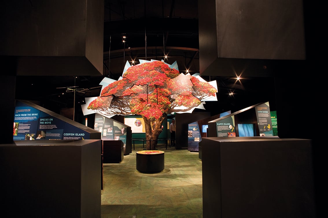 Zealandia: The Exhibition — Story Inc