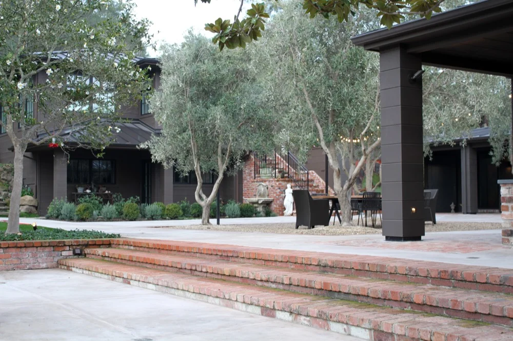 East Bay Contemporary — Siteworks Landscape