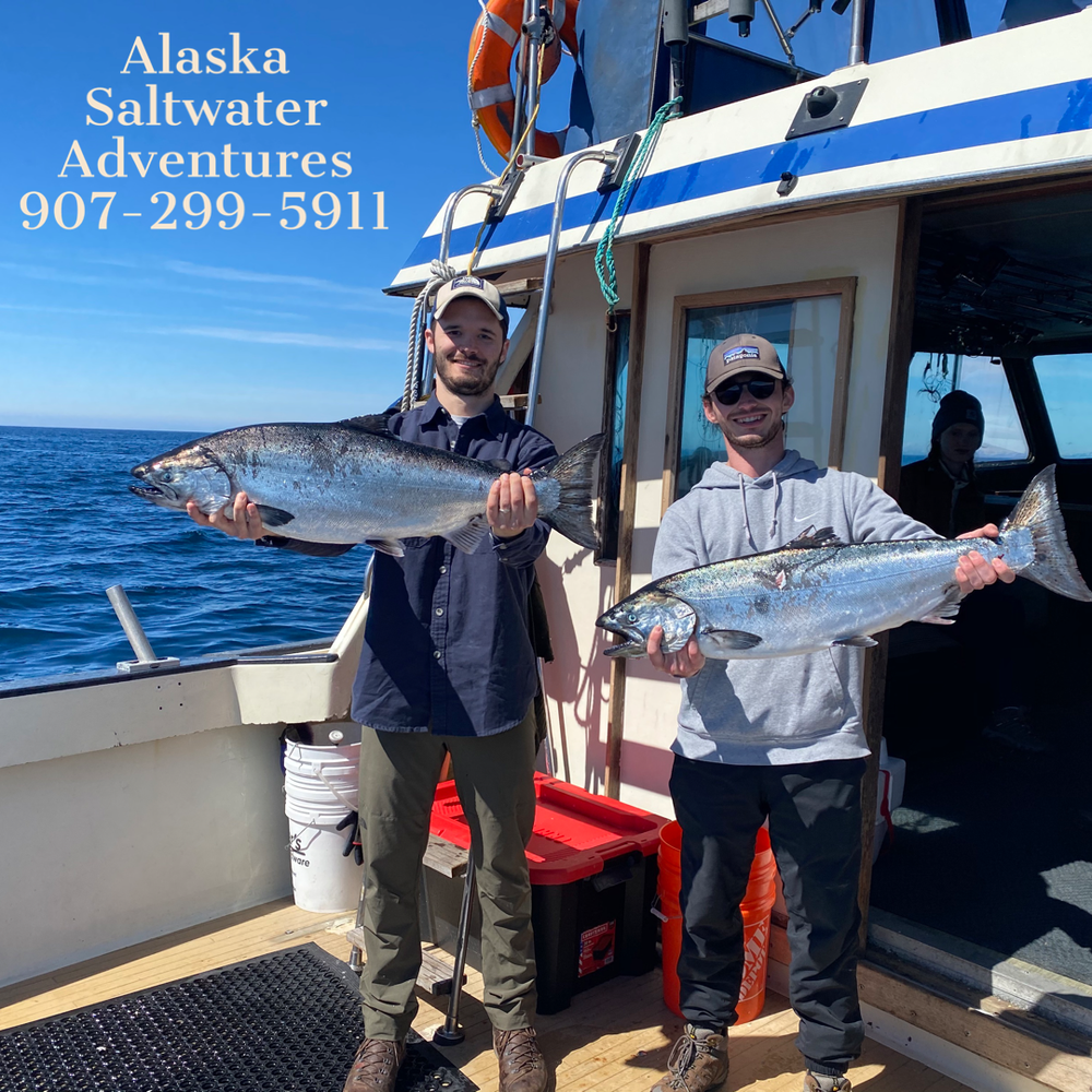 King Salmon trolling in Homer, AK — Alaska Saltwater Adventures
