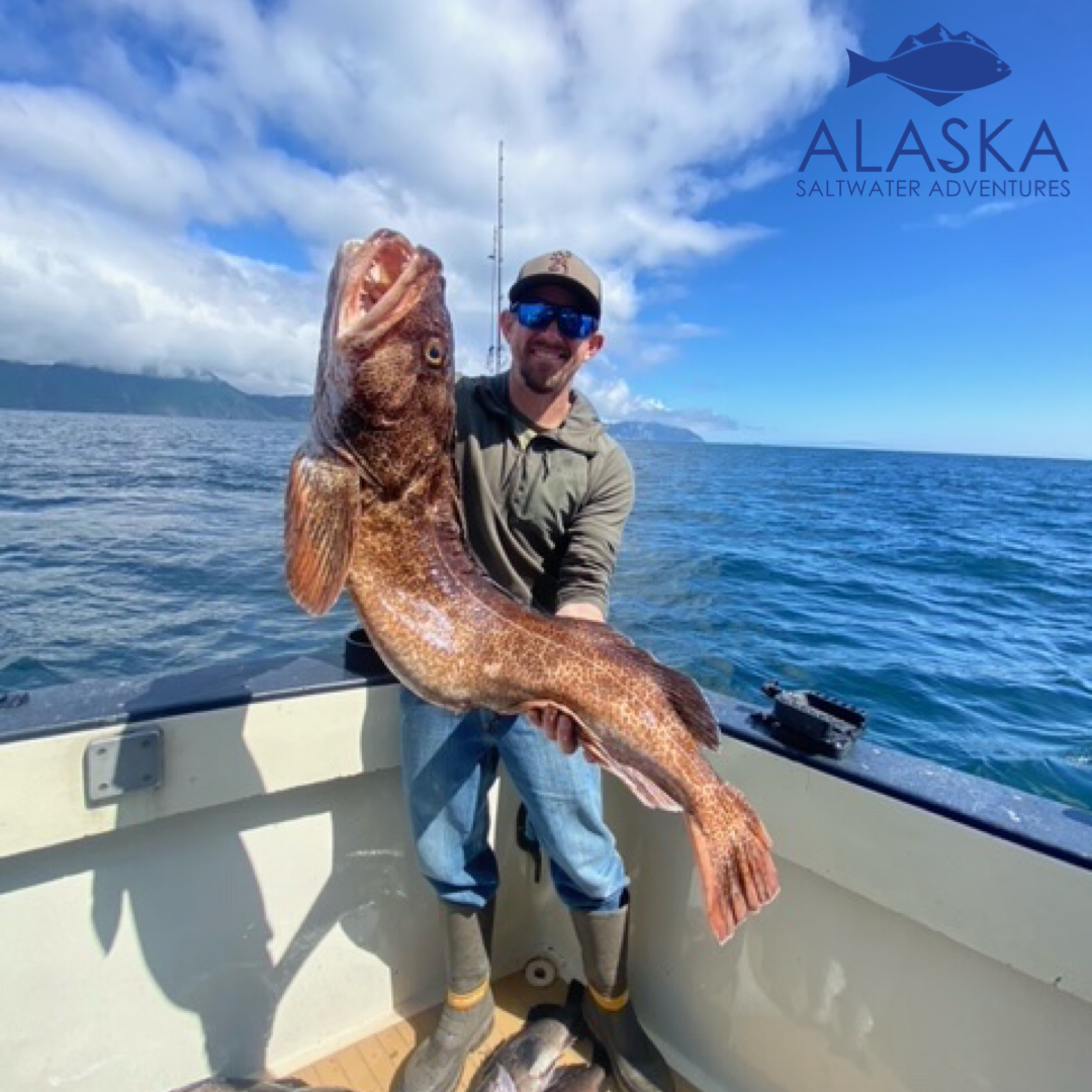 Lingcod Fishing Trip — Alaska Saltwater Adventures