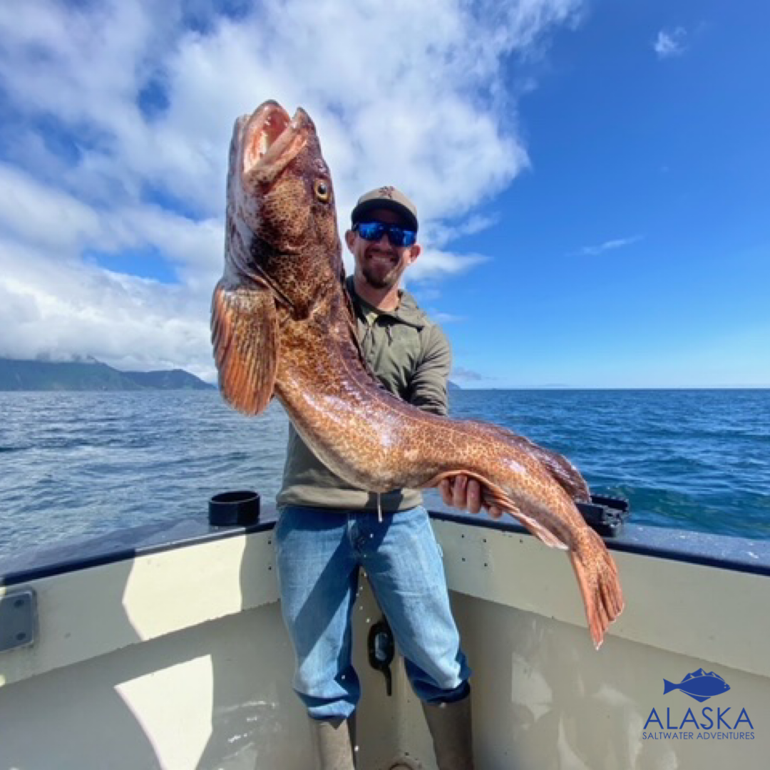 2024 Rock Fish & Lingcod Limits — Alaska Saltwater Adventures
