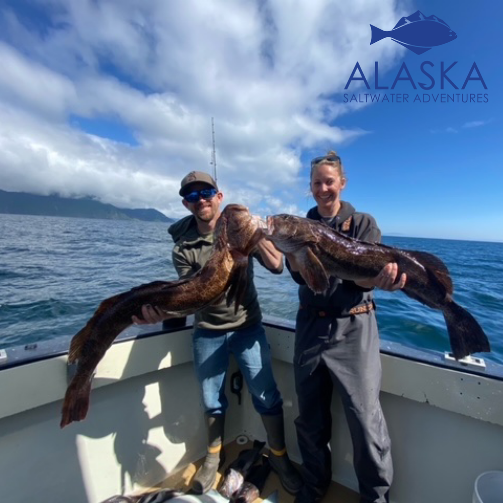 Alaska Lingcod Fishing Is Here — Alaska Saltwater Adventures