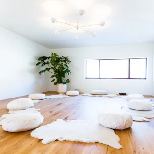 The Circle Game — A WILD DOVE