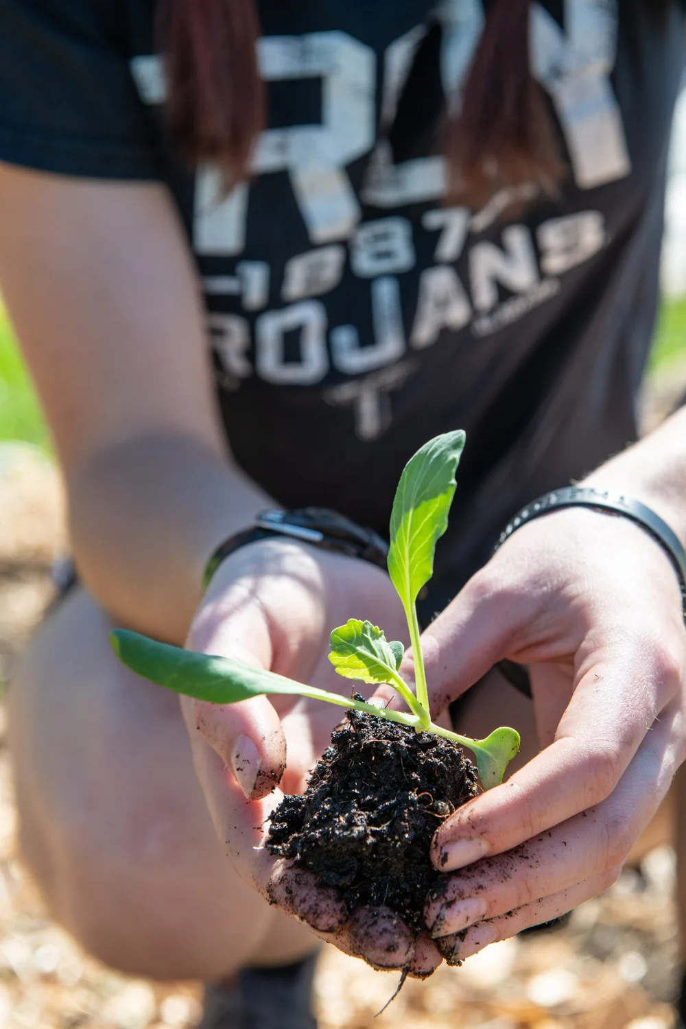 Farm Skills Training Program — Merrymeeting Food Council