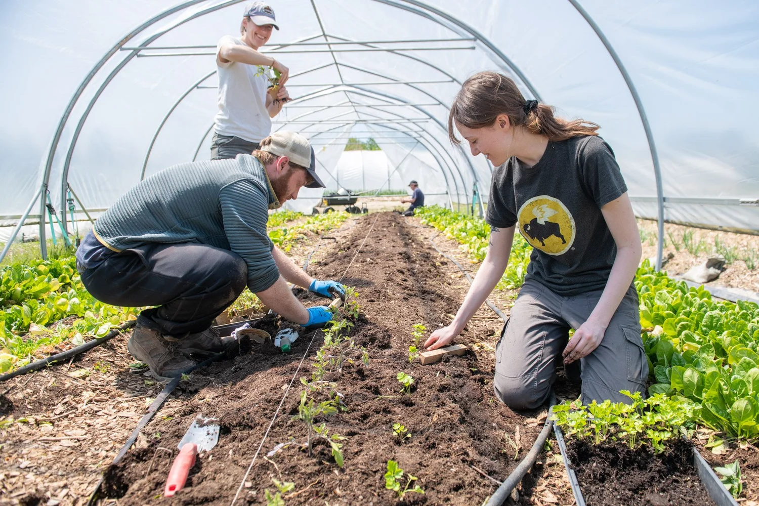 Farm Skills Training Program — Merrymeeting Food Council