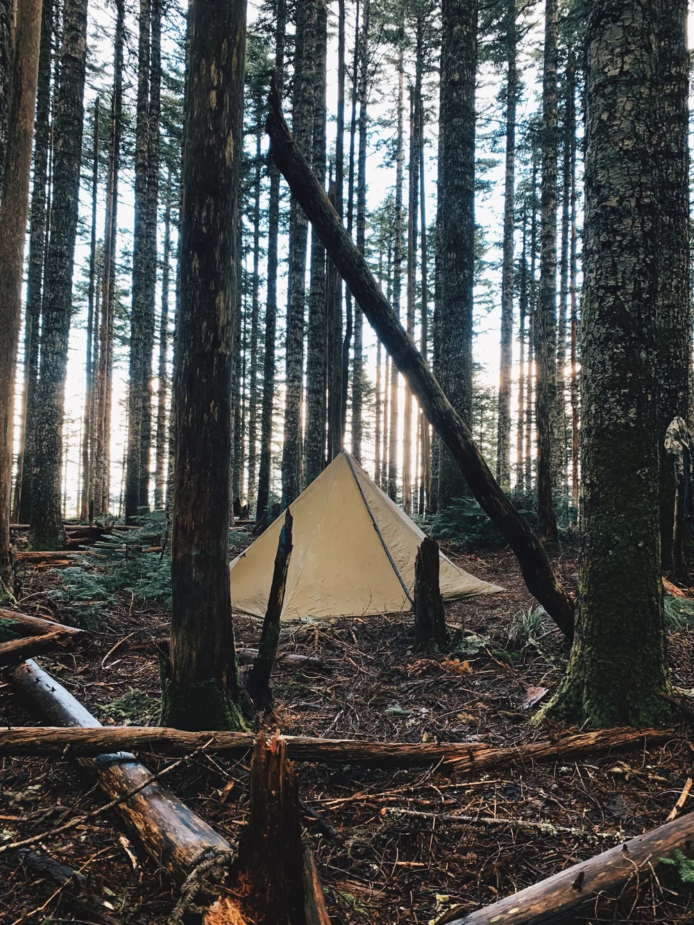 Base Camps vs. Spike Camps and How To Choose Your Backpack Hunting ...