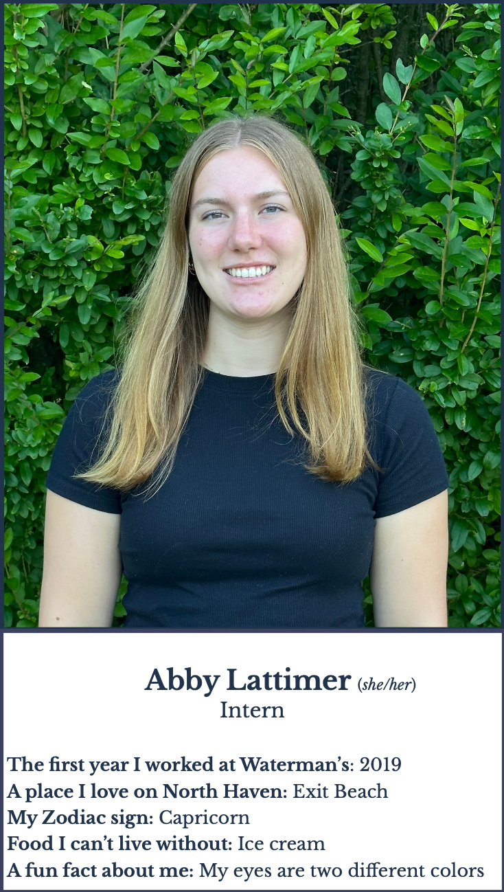 meet the staff — Waterman's Community Center