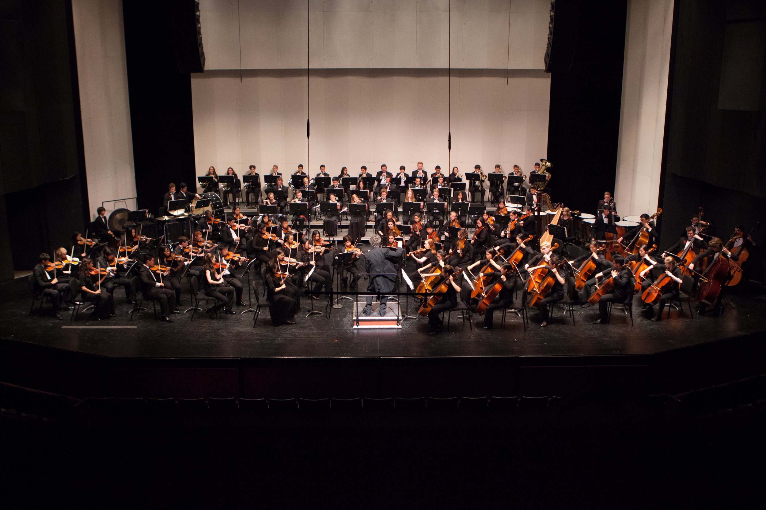 American Youth Philharmonic Orchestras