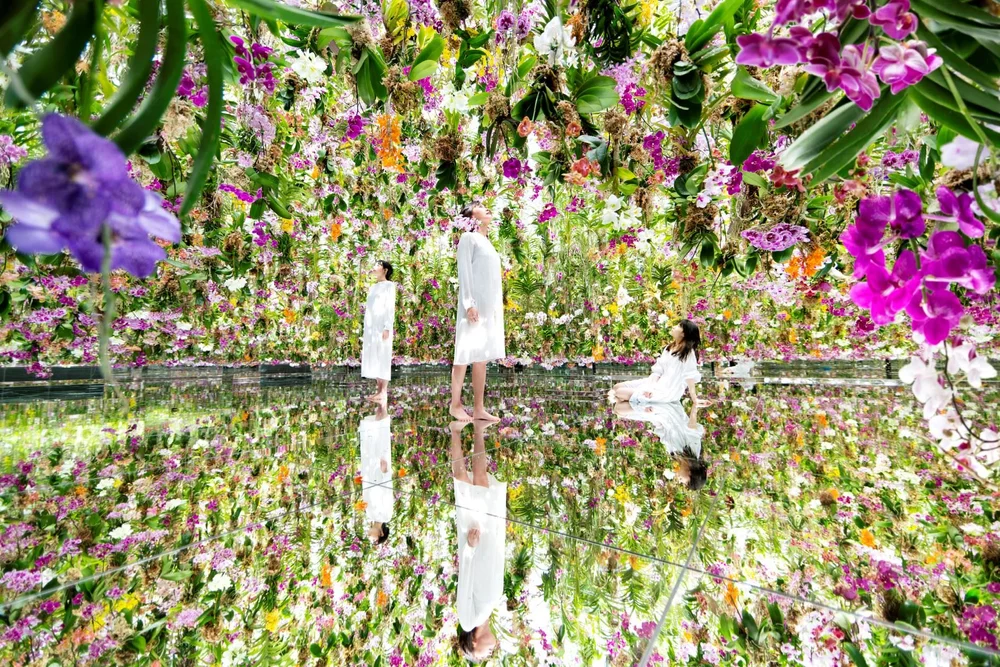 Floating Flower Garden: il giardino di orchidee di Teamlab — ARTBOOMS