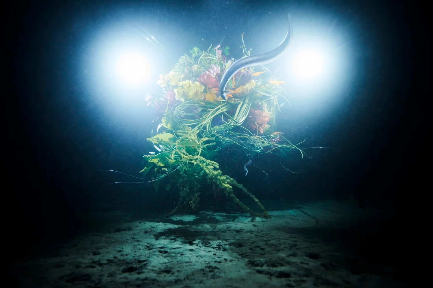 Azuma Makoto ha spedito bonsai ed elaborate composizioni floreali negli ...