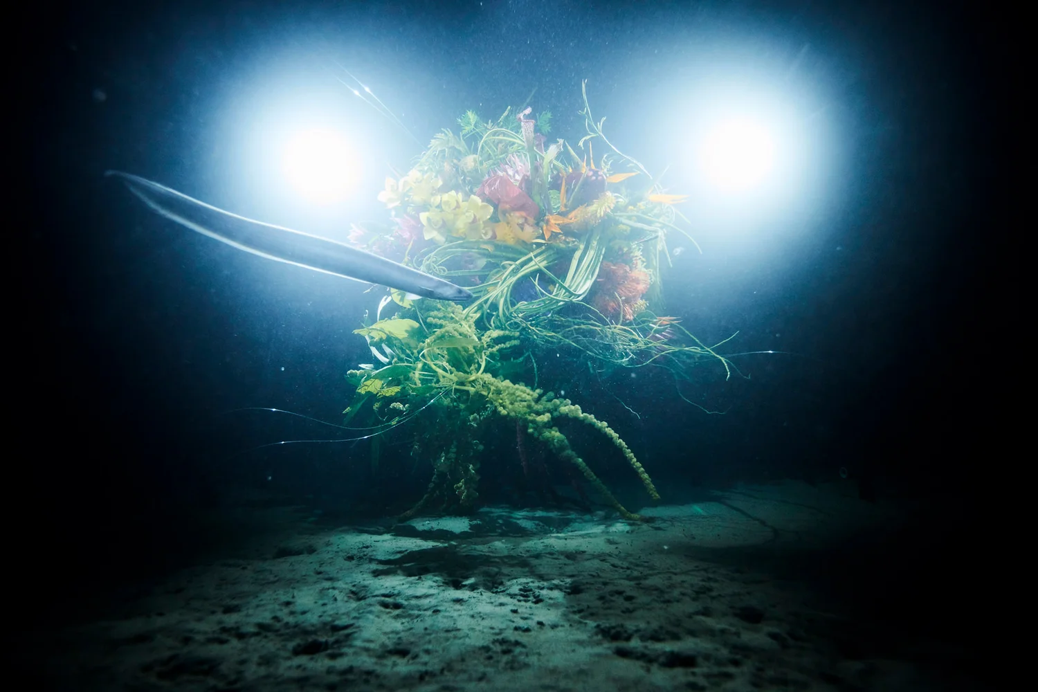 Azuma Makoto ha spedito bonsai ed elaborate composizioni floreali negli ...