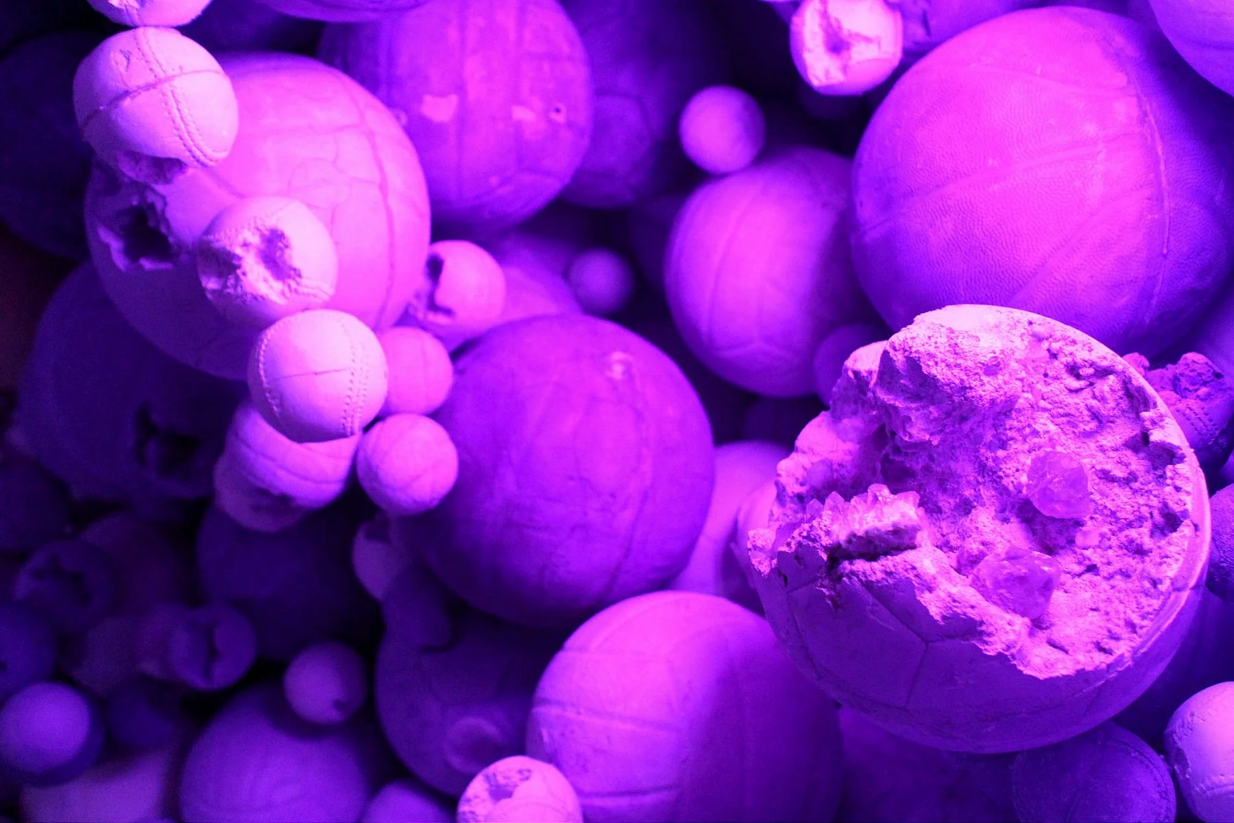 Daniel Arsham con Lunar Garden fa ritornare dal futuro un giardino zen e mette in scena 10 anni ...