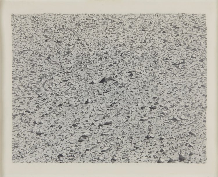 Sessant’anni di Vija Celmins in mostra alla Fondazione Beyeler — ARTBOOMS