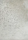 Sessant’anni di Vija Celmins in mostra alla Fondazione Beyeler — ARTBOOMS
