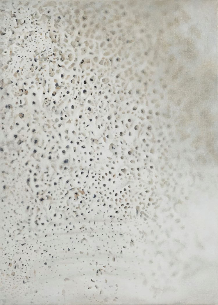 Sessant’anni di Vija Celmins in mostra alla Fondazione Beyeler — ARTBOOMS
