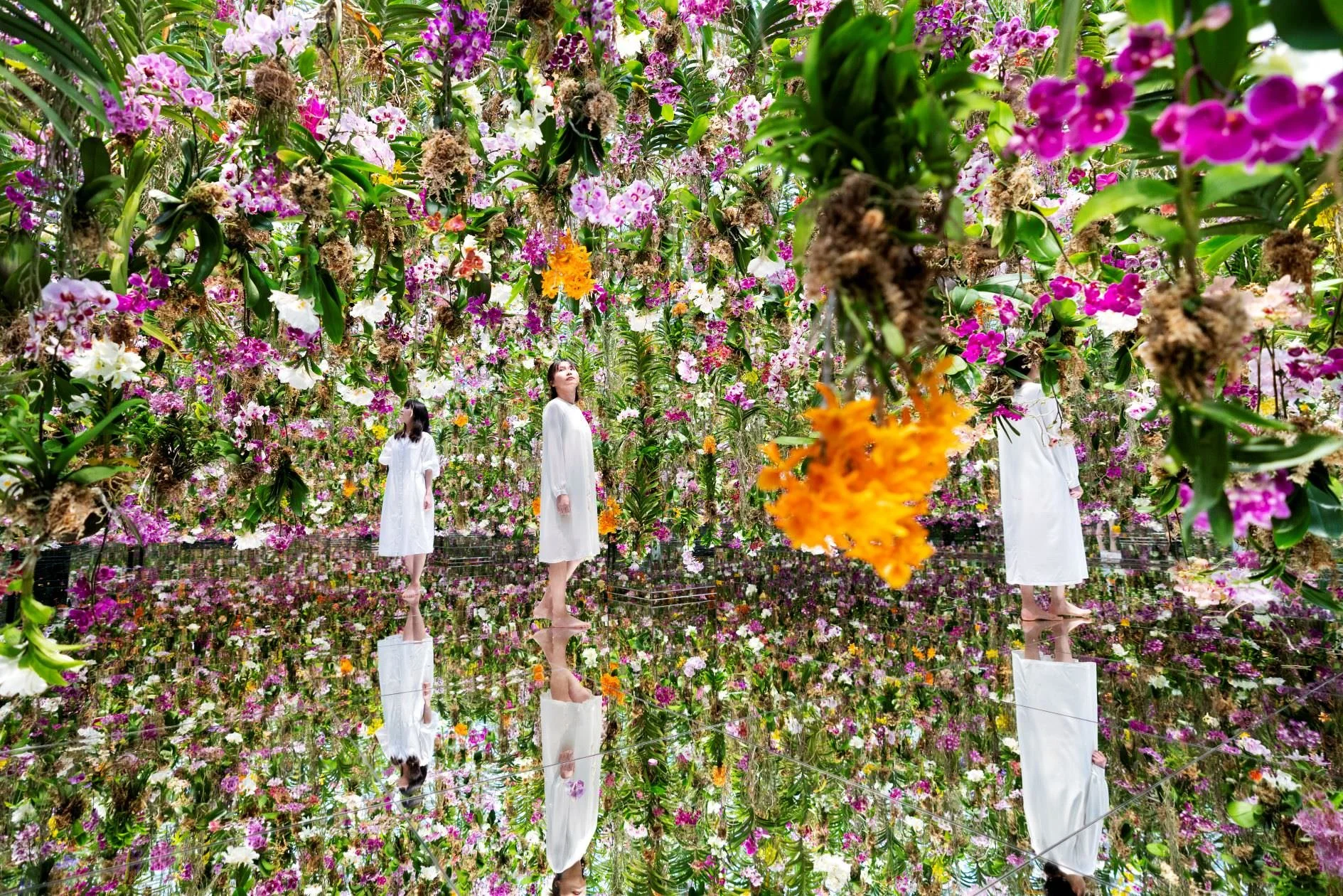 Floating Flower Garden: il giardino di orchidee di Teamlab — ARTBOOMS